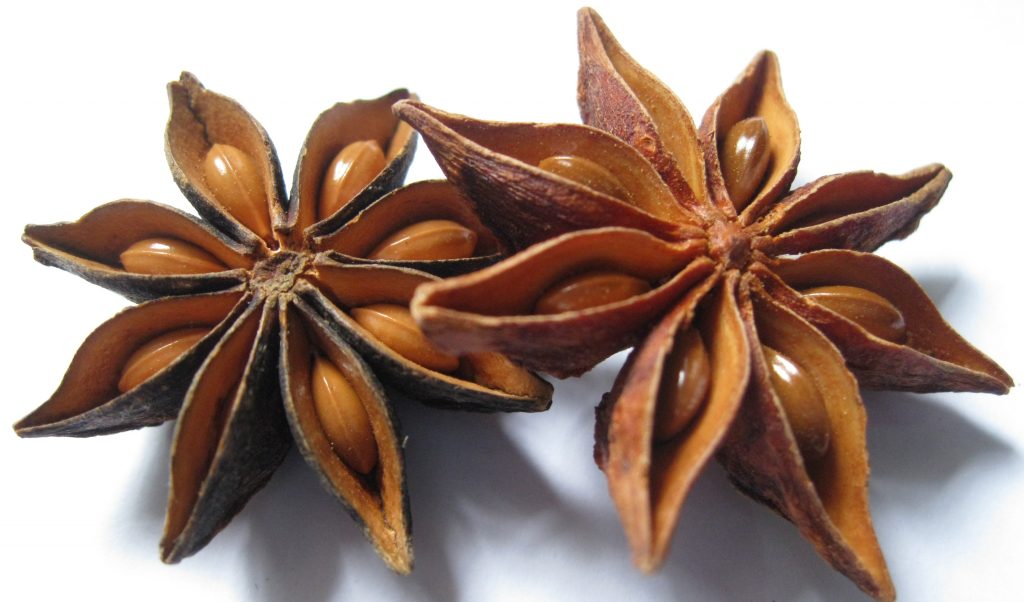 STAR ANISEED AUTUMN CROP - hosonimex