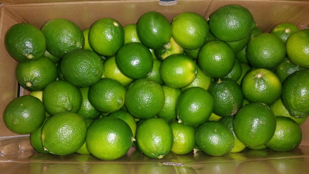 FRESH LEMON - hosonimex